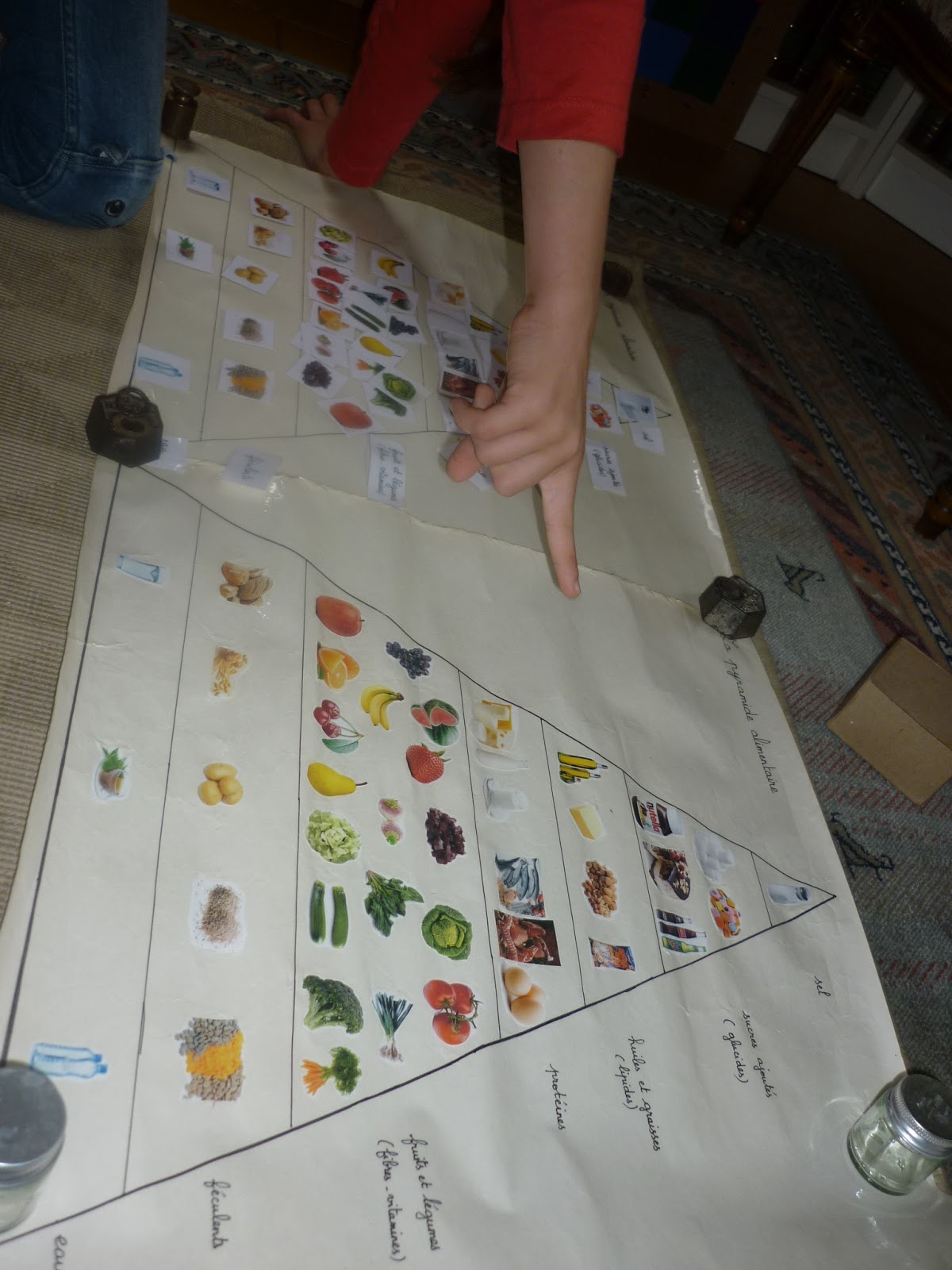 Montessori avec les 6-12 ans: Pyramide alimentaire