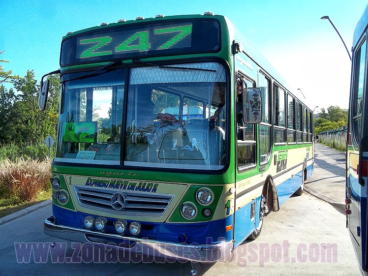 Colectibus - Zona de Buses: LINEA 247