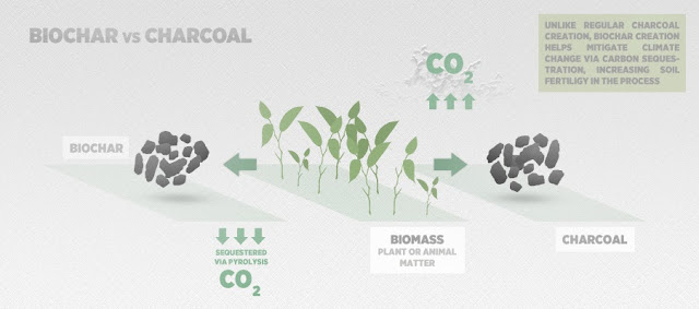 Biochar manufacturing process conditions.