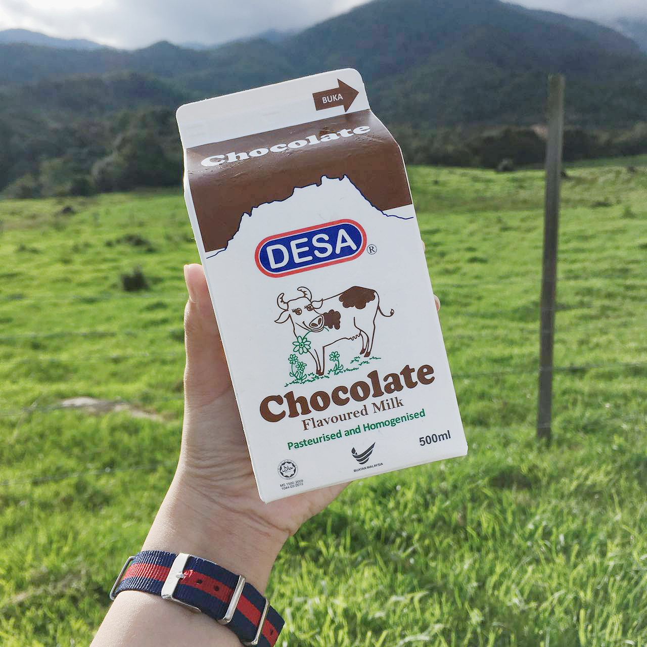 #MiaGoVacation : Kundasang - Desa Dairy Farm - Myraaaaawr