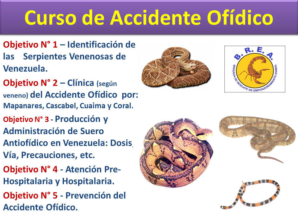 BREA VENENOS: CURSO DE ACCIDENTE OFÍDICO