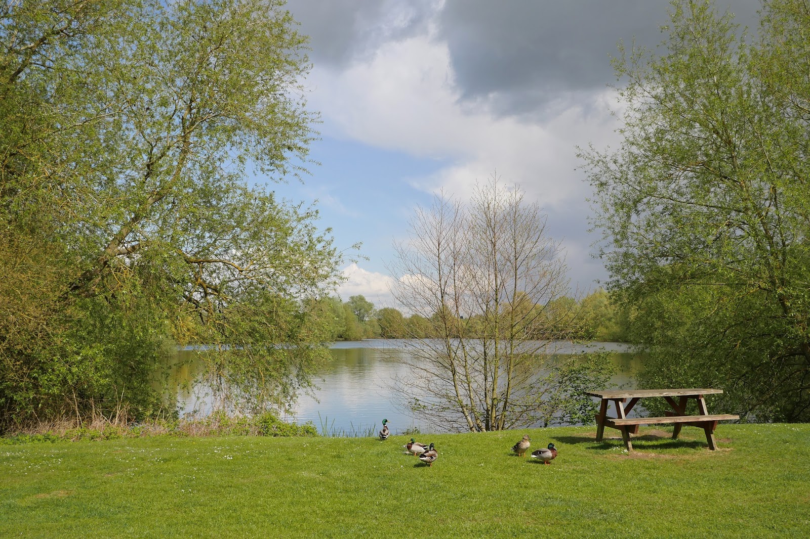 Walking in the country: Olney, Clifton Reynes and Emberton
