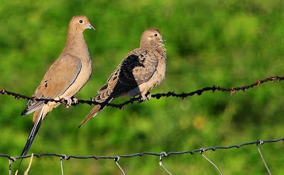 Wyoming Photos: 2011
