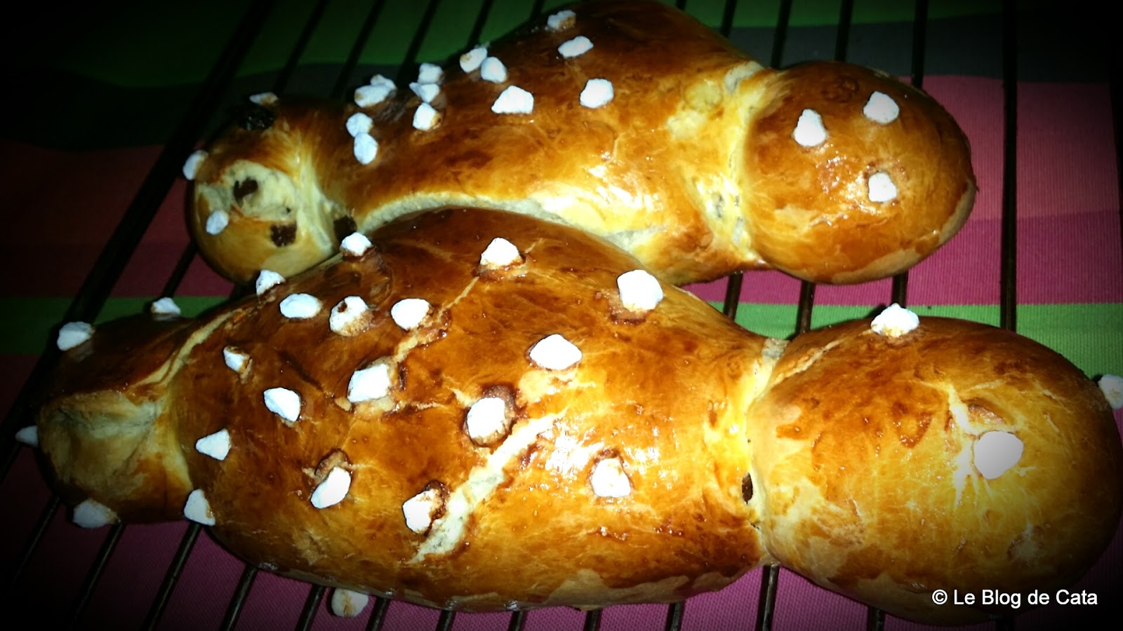 Le blog de Cata: Pain brioché belge - Cougnolle (ou cougnou)