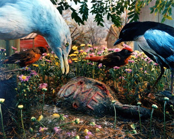 follow their voice: Artist Spotlight: Gregory Crewdson