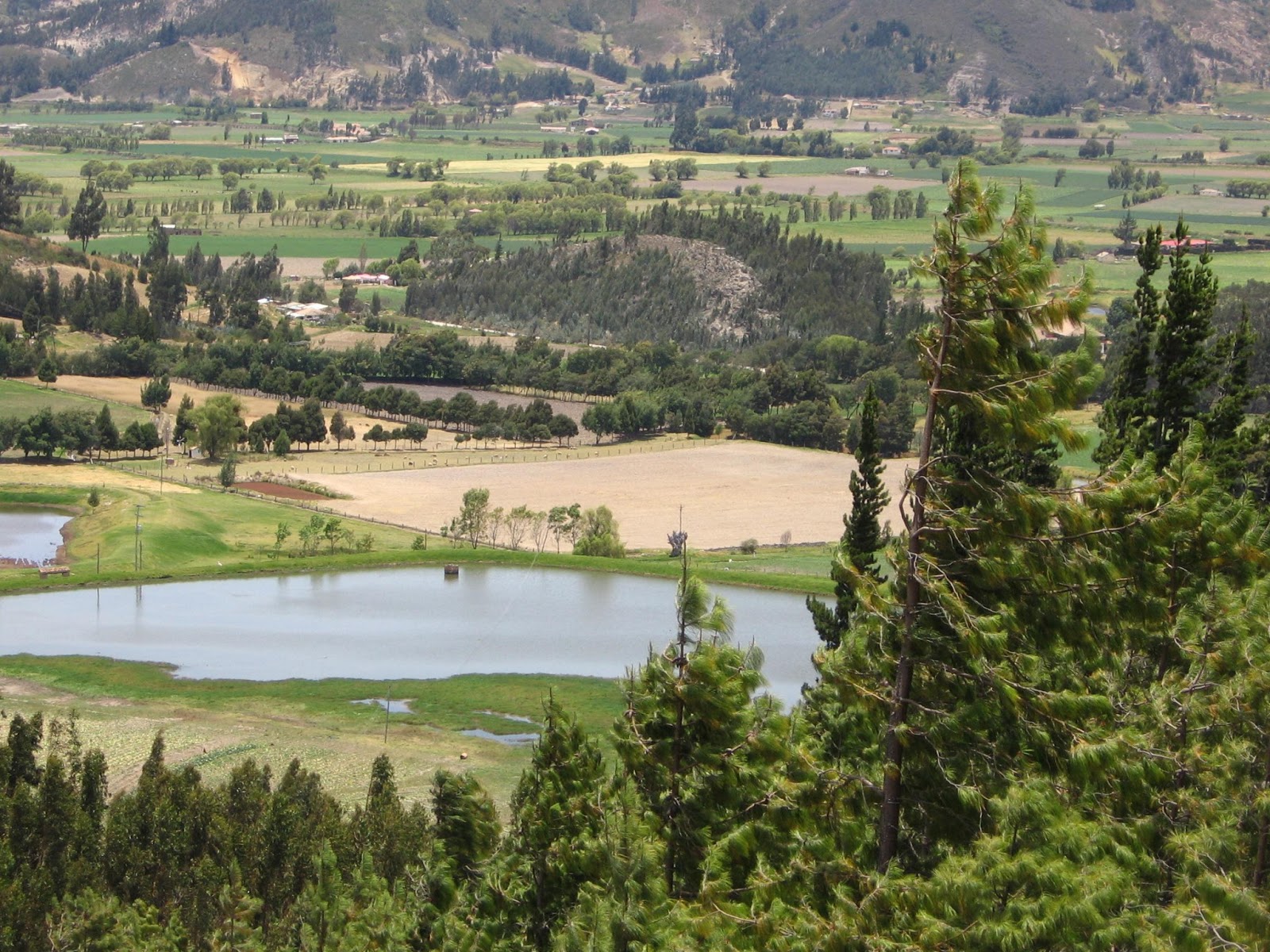 CAMINOS GUANENTA "TU HISTORIA EN EL MUNDO"