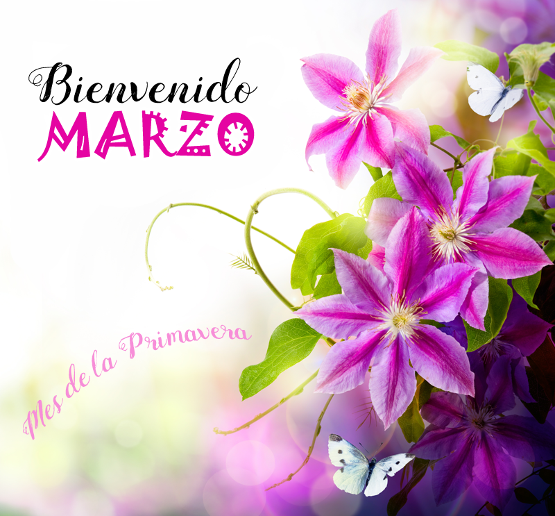 Banco de Imágenes Gratis: Bienvenido Marzo !!! Adiós febrero, gracias ...