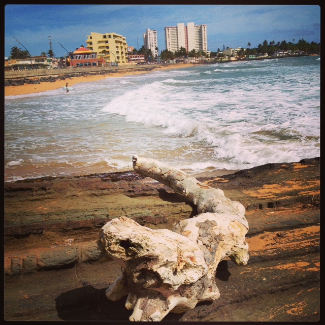 .: La Pared en Luquillo Puerto Rico!!!