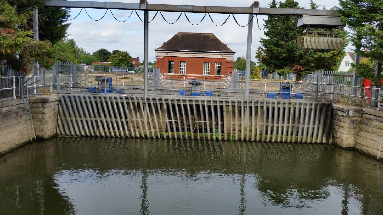 and Millie makes three: Laleham (River Thames) – Tuesday 14th July