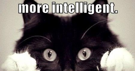 Growth Mindset & Feedback Cats: With practice and training we can ...