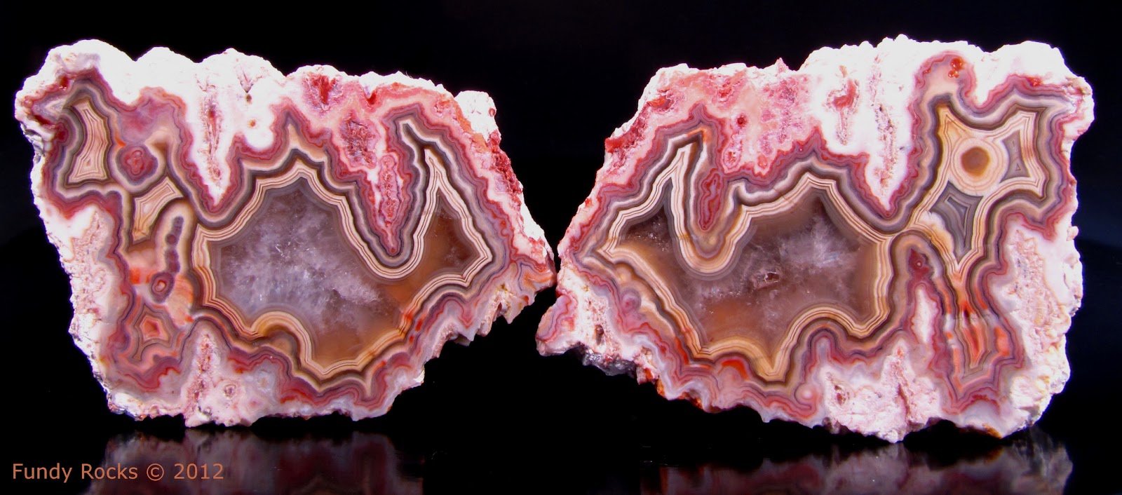 Fundy Rocks Journal: Amethyst Cove, Nova Scotia