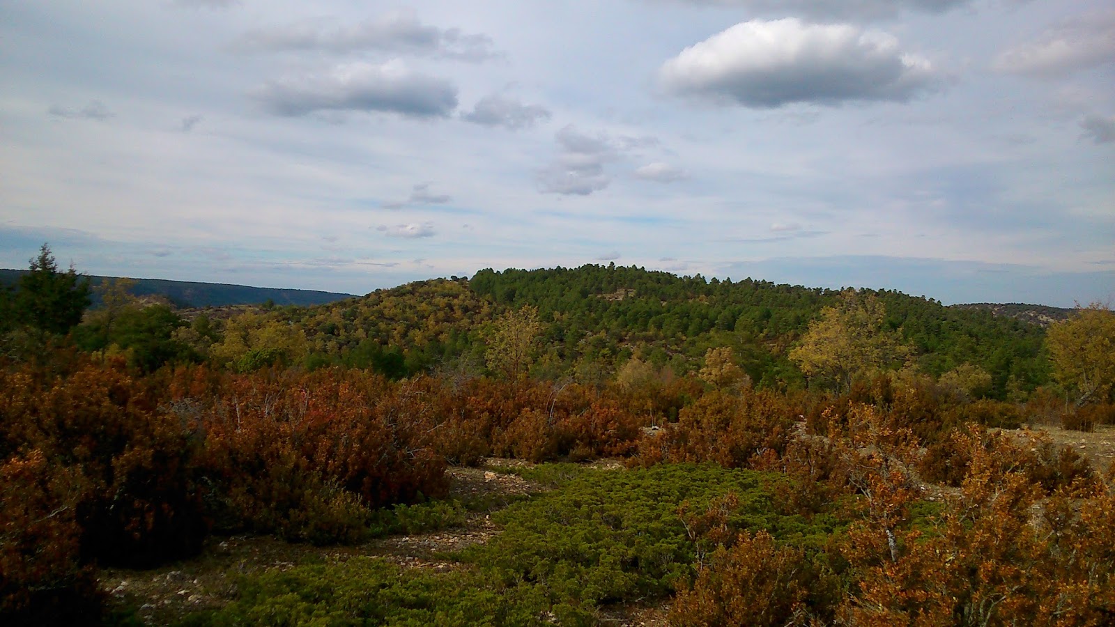 A. C. Monteros por España: Montería en Megina... Lo mejor, para nosotros...