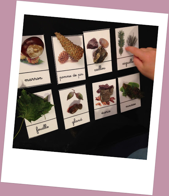 Mon joli petit bureau: Les animaux de la forêt (L'art est un jeu d ...