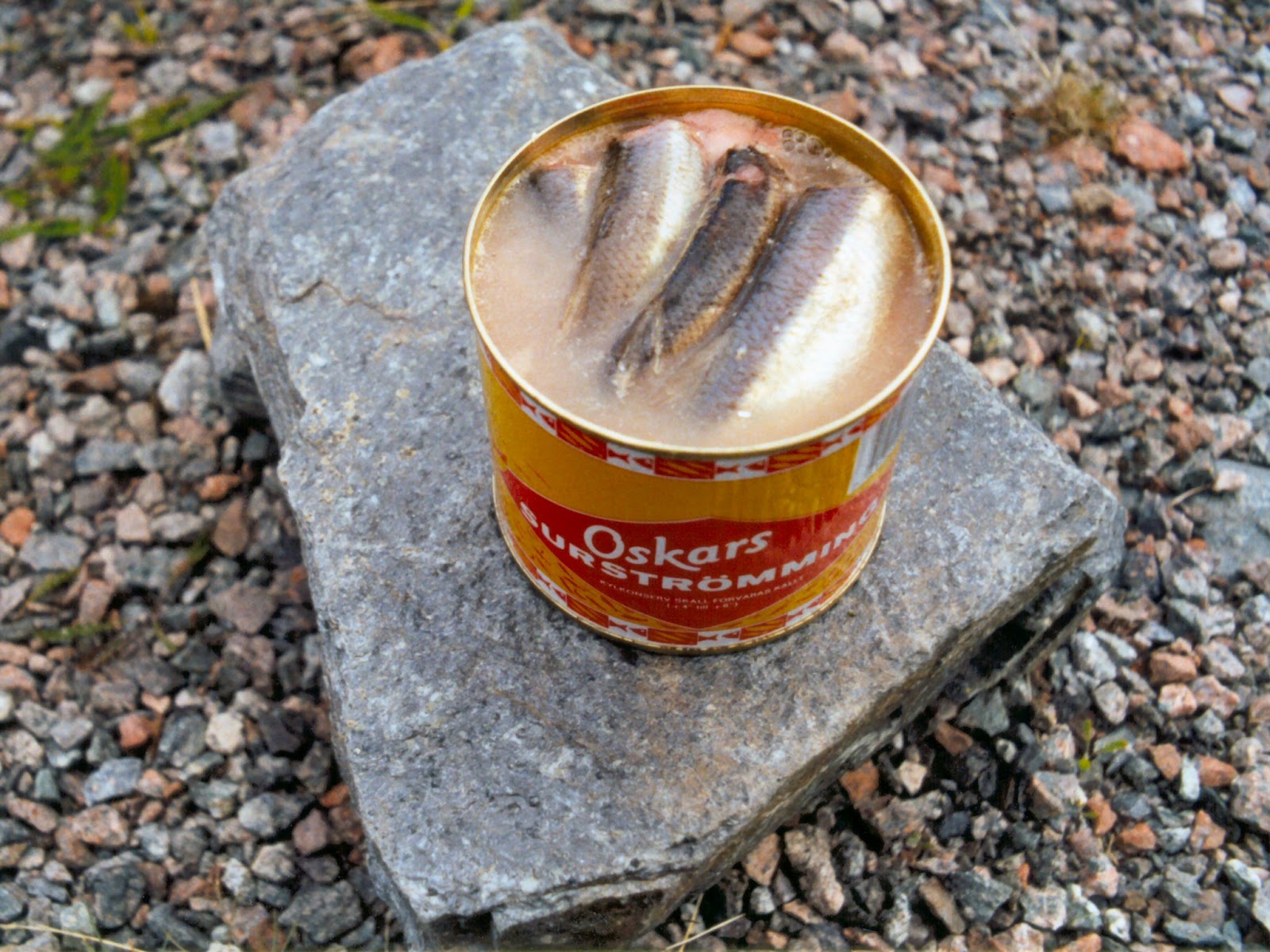 Grotesque Cuisine: Surströmming