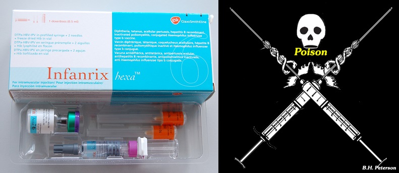 Vivere in modo biologicamente naturale.: Il Rapporto che evidenzia l ...