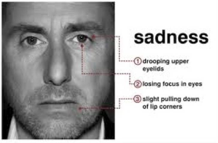 Linto Experiment: MicroExpression