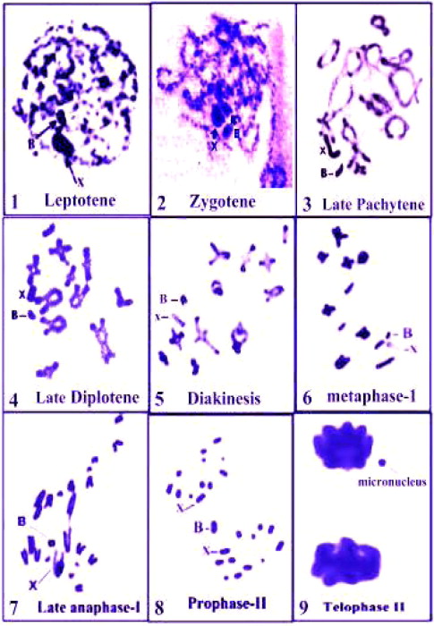 Ram Micro Arena : February 2018