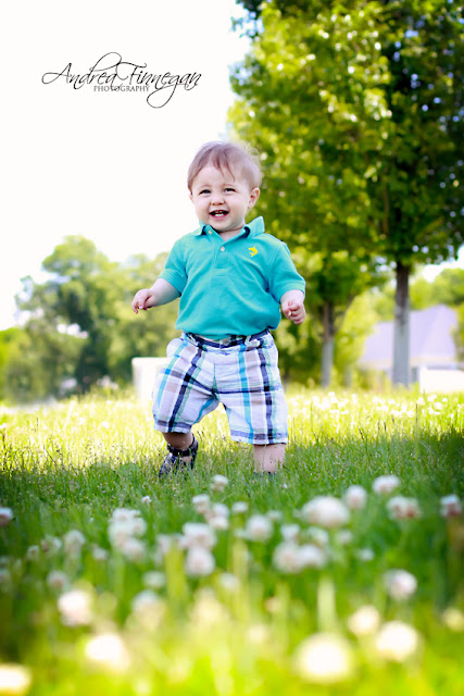 Andrea Finnegan Photography