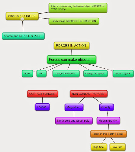 Blog 4 Primary: What do you know about FORCES?