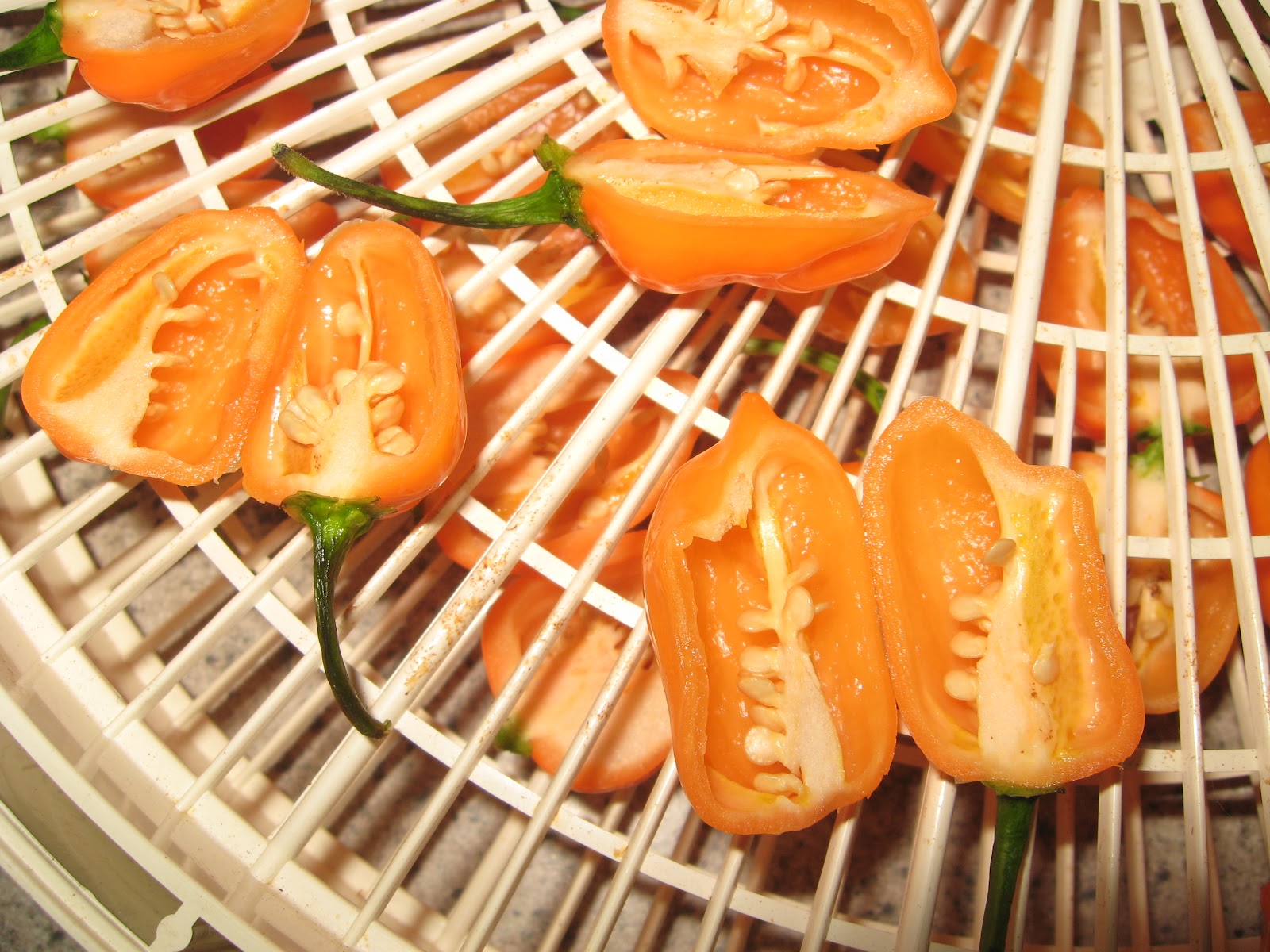 Extreme Hot Peppers