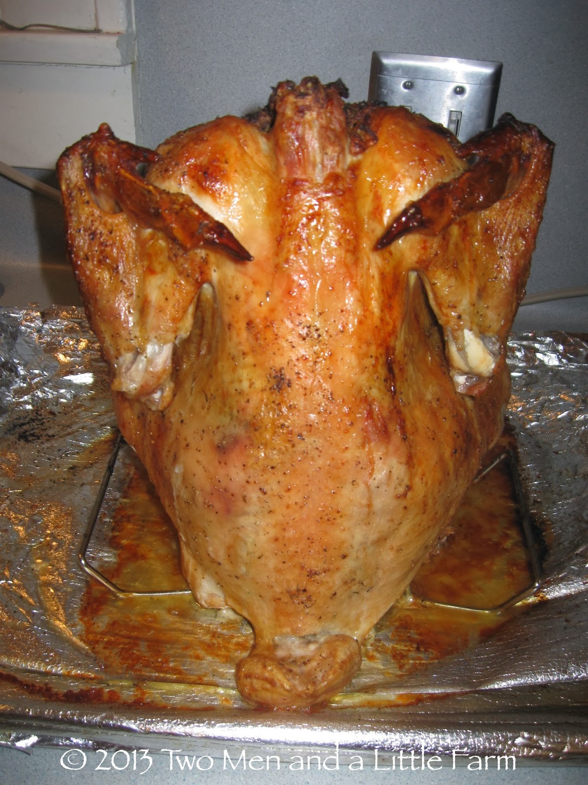 Two Men and a Little Farm: TIME FOR THE BARGAIN TURKEYS