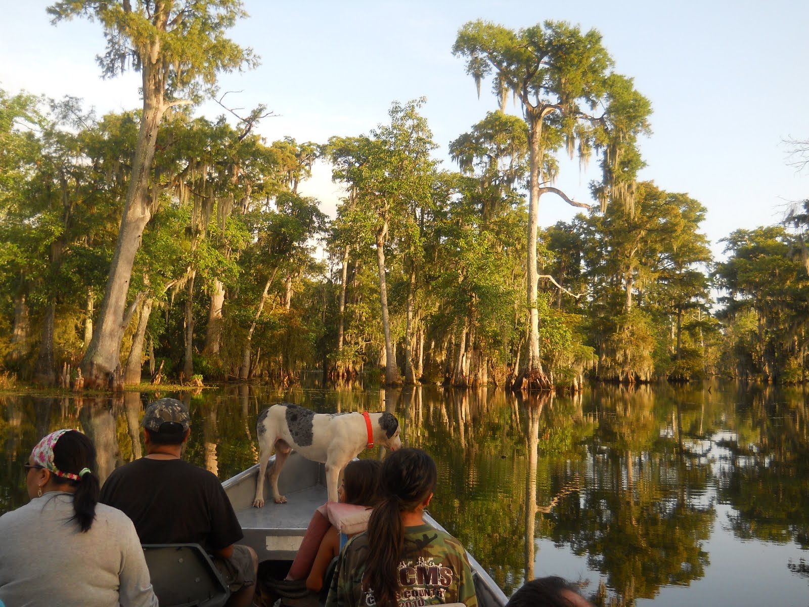Louisiana Swamp Tours: The Best Swamp Tour In Louisiana