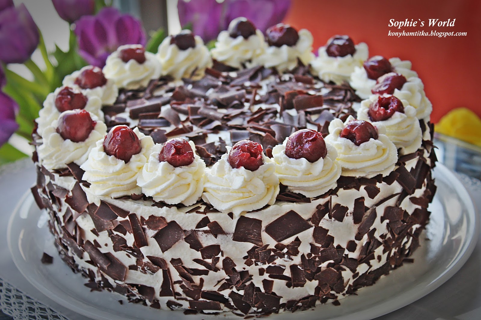 Sophie`s World : Švarcvald torta po originalnom receptu - Schwarzwälder ...