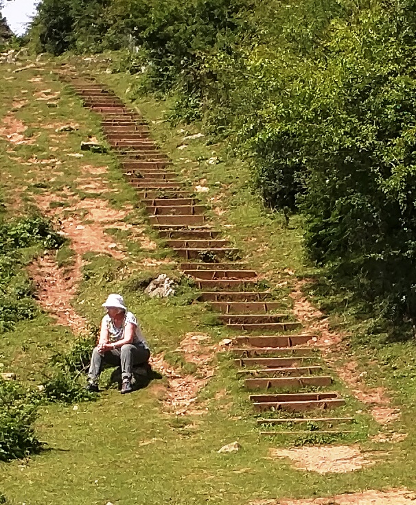 Wading Through Treacle: Cheddar Gorge walk: north side