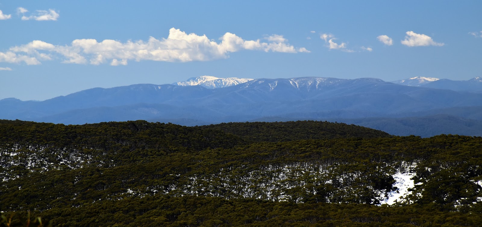 Goin' Feral One Day At A Time: Baw Baw Village Circuit, Baw Baw ...