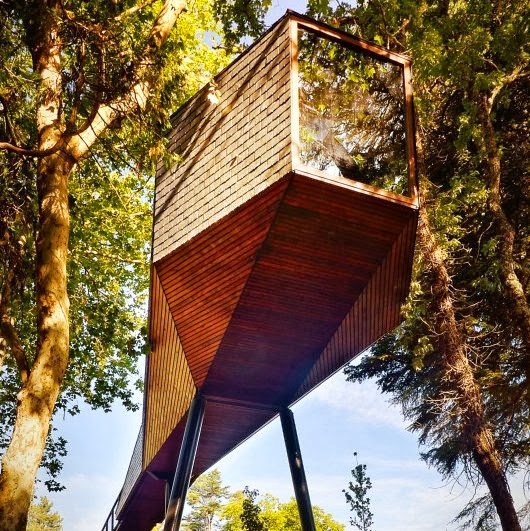 The Flying Tortoise: Portugal's Simple And Stunning Tree Snake House...