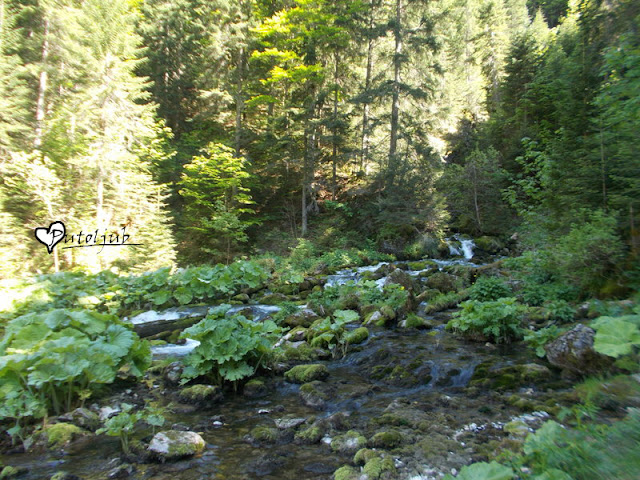 Izvor reke Ibar - Putoljub