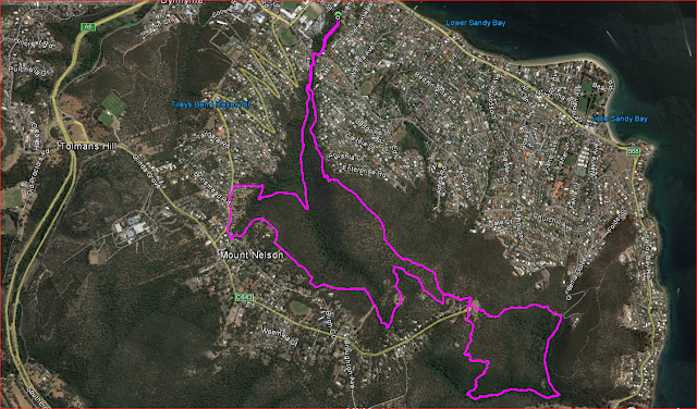 Mount Nelson | Hiking South East Tasmania