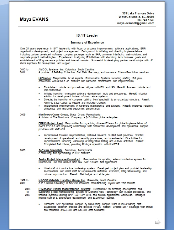 IT Leader Sample Resume Format in Word Free Download