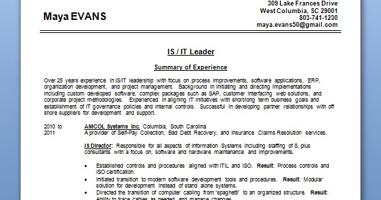 IT Leader Sample Resume Format in Word Free Download