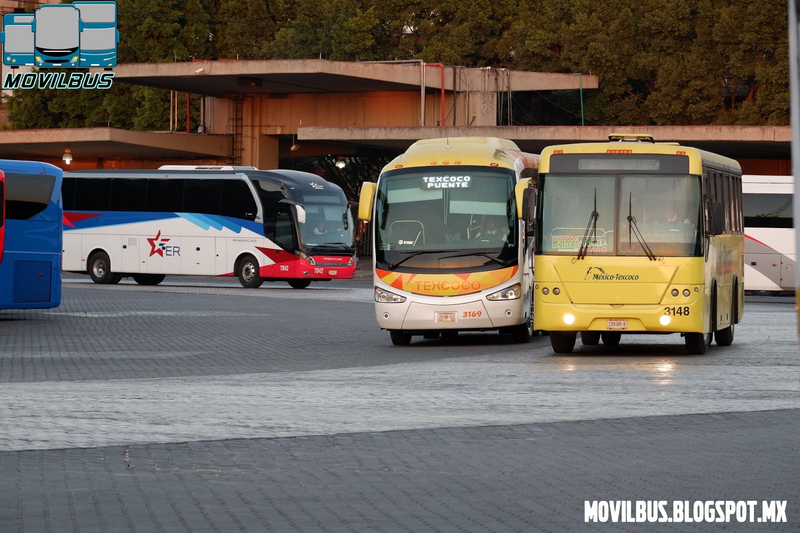 Más de 100 fotografías de los autobuses de Grupo Texcoco.