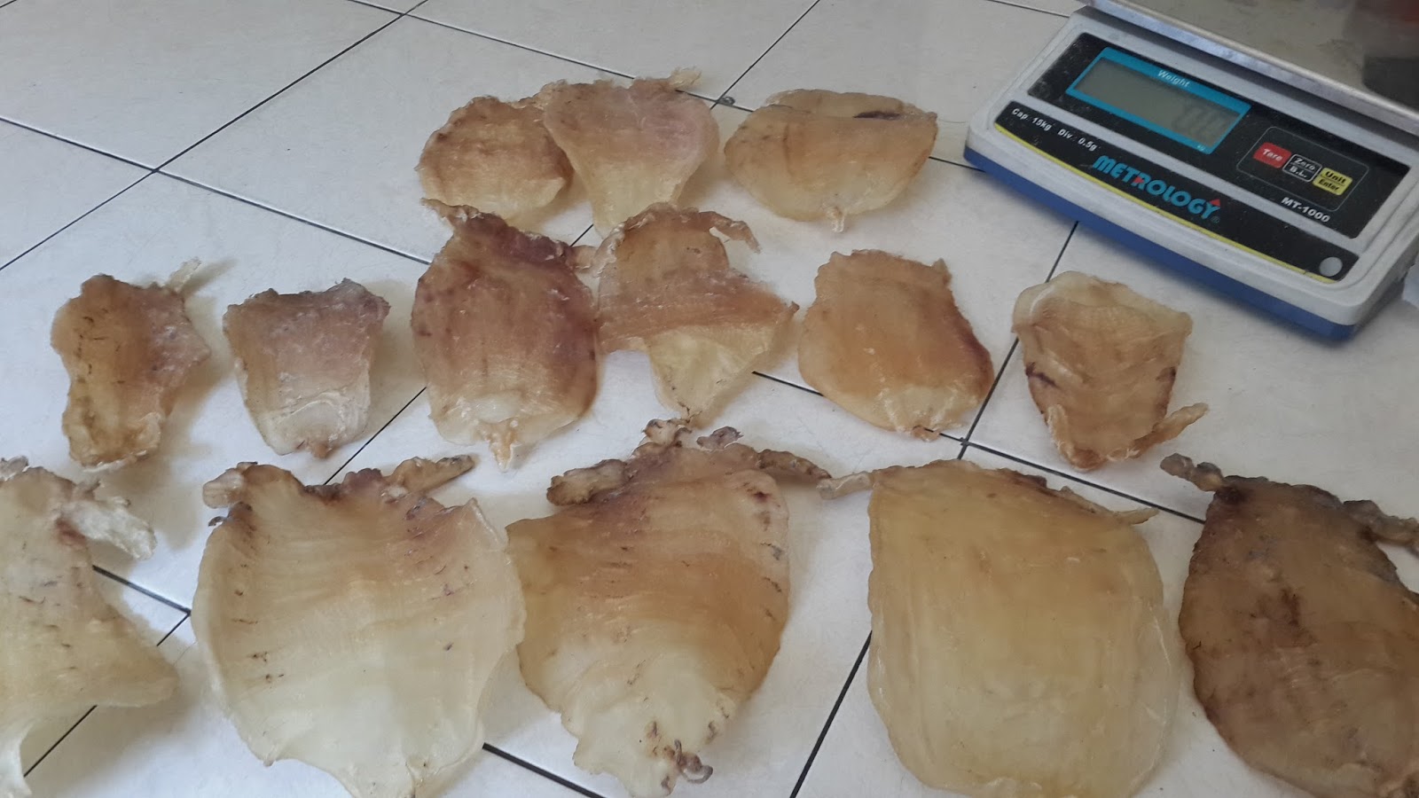 perut ikan fish maw fishmaw angkua kakap kurau kuro gelembung ikan