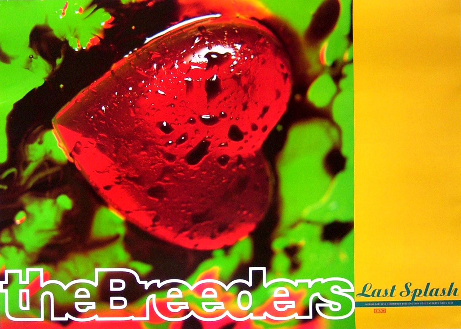 RJ Battles: "Last Splash"