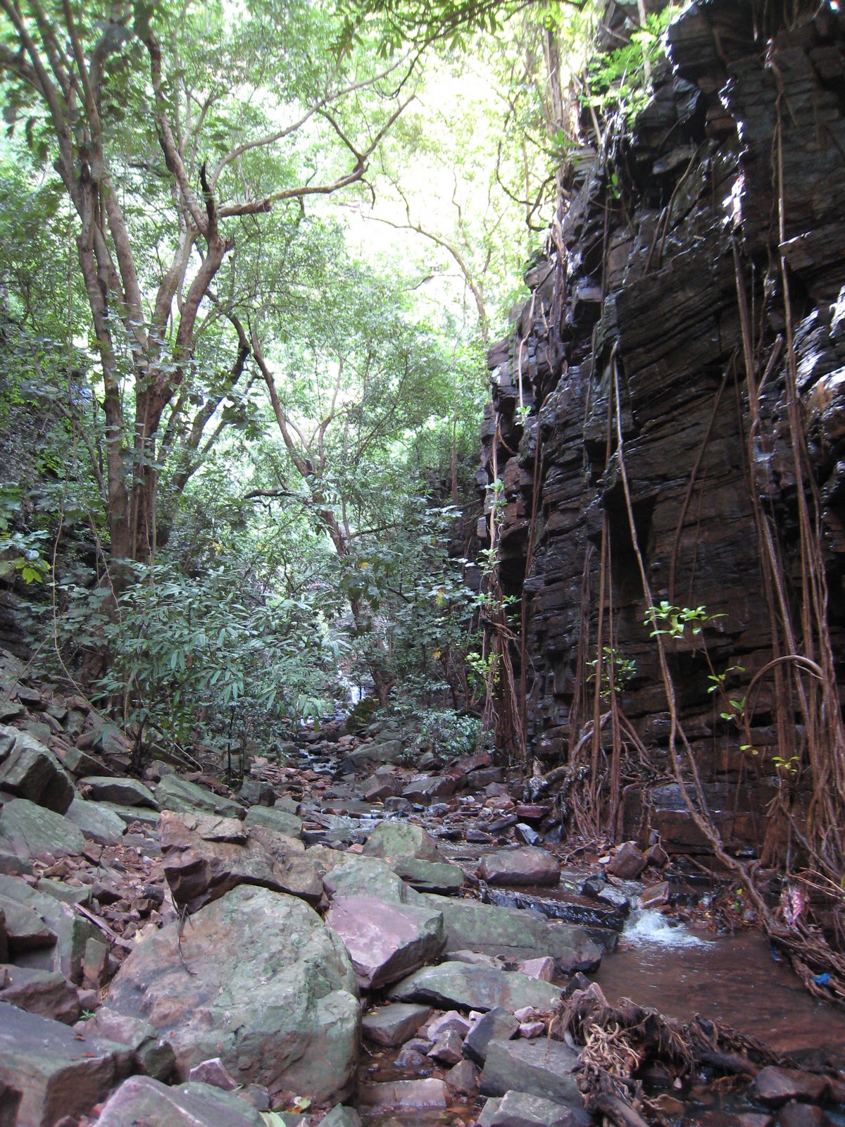 This Senegalese Life: Waterfall Tourney