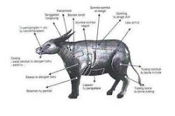 BATAK GENERATION: Silsilah dan Tarombo Batak dari Si Raja Batak