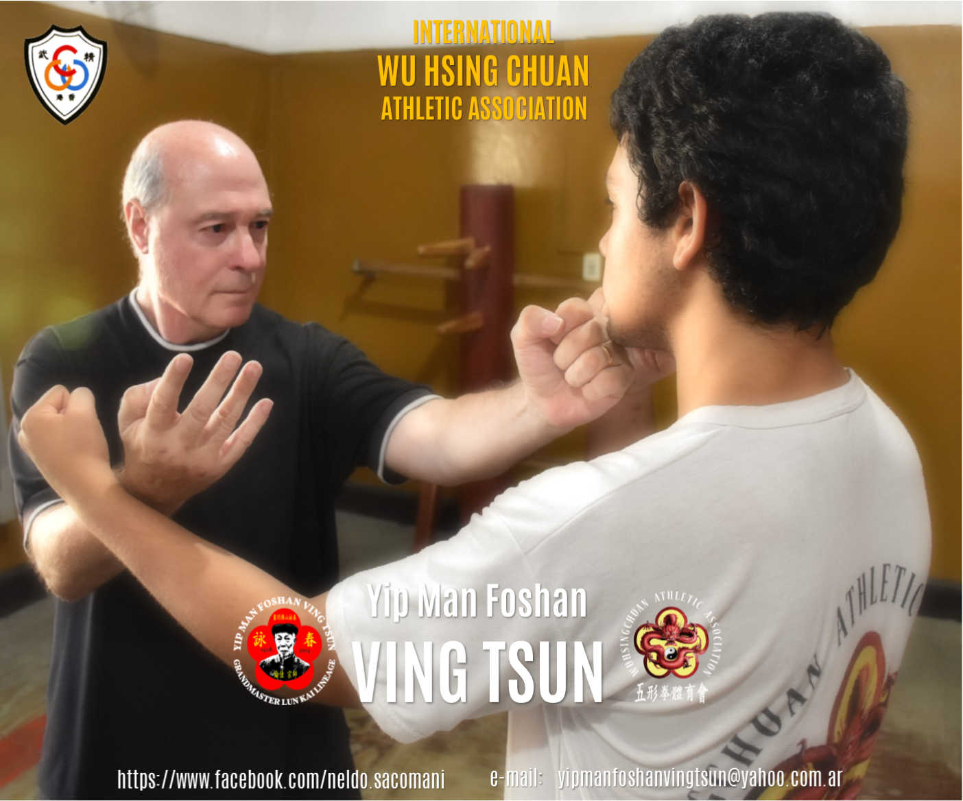 Ving Tsun Foshan: Domina tu Estilo de Ving Tsun