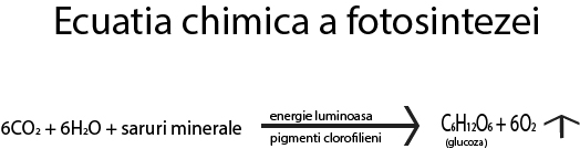 Biologia: februarie 2017