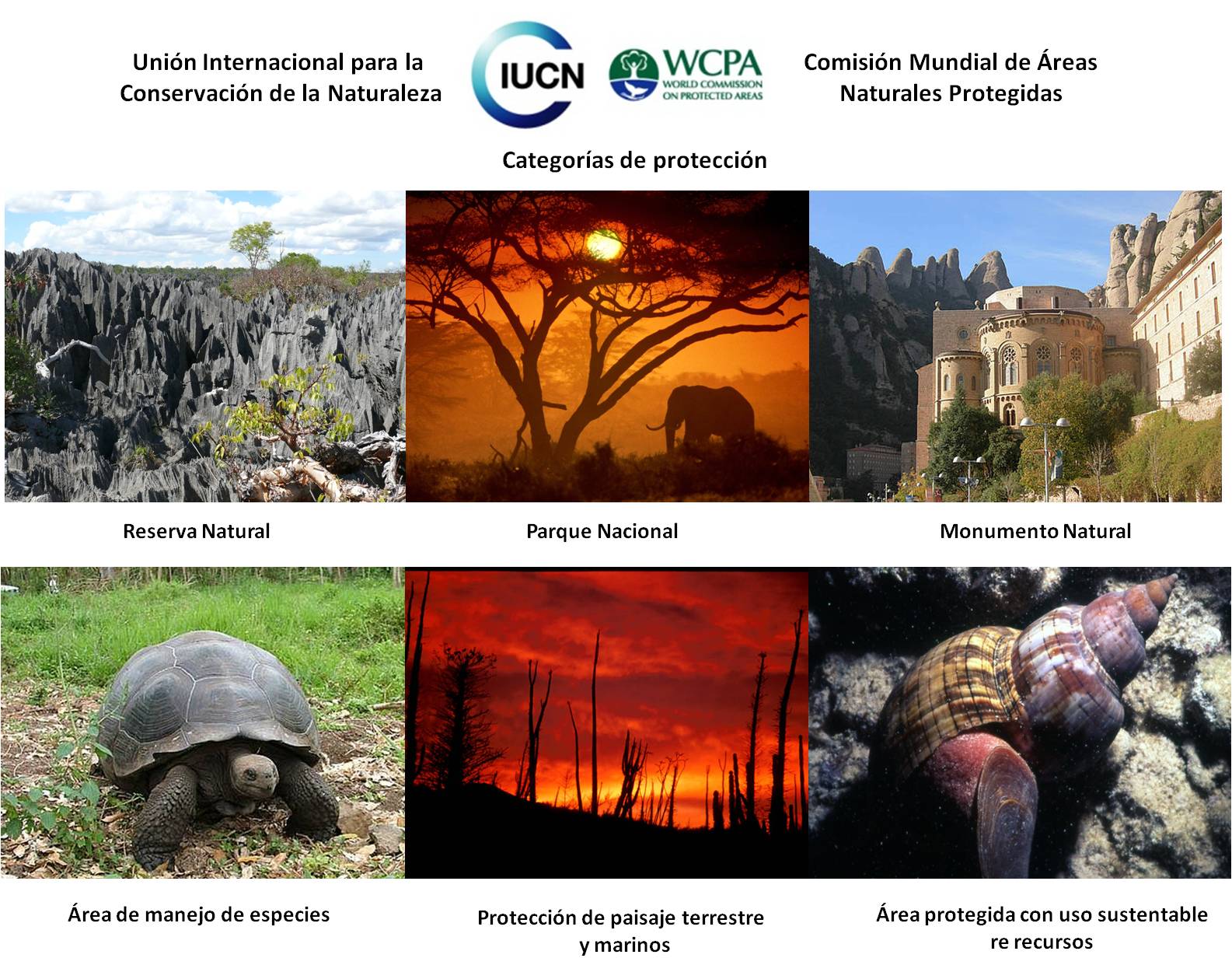 Eco Aventura Puebla Áreas Naturales Protegidas