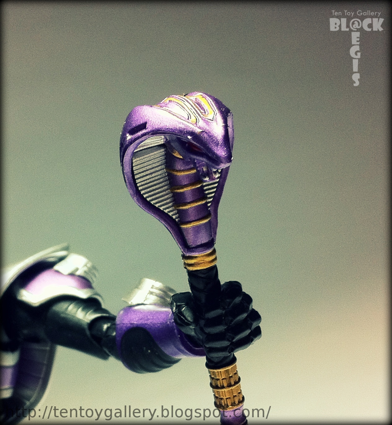 Ten Toy Gallery: Review: S.H.Figuarts Masked Rider Ouja