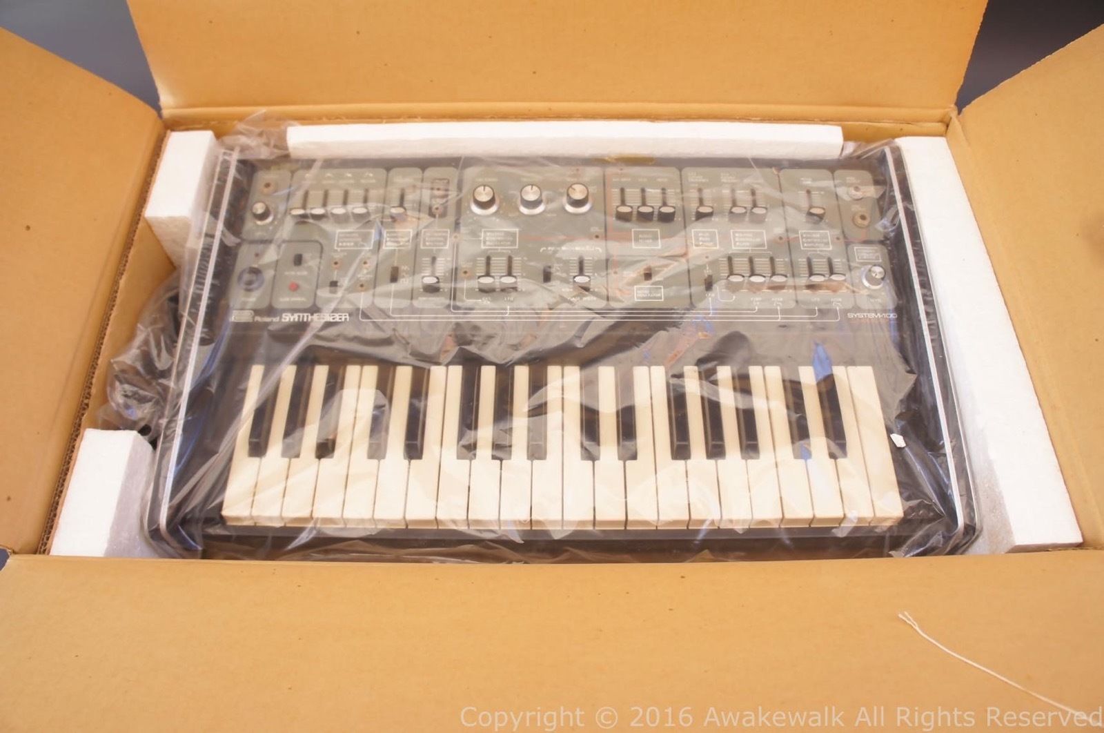 MATRIXSYNTH: Roland Vintage System-100 101 Keyboard In Original Box w ...