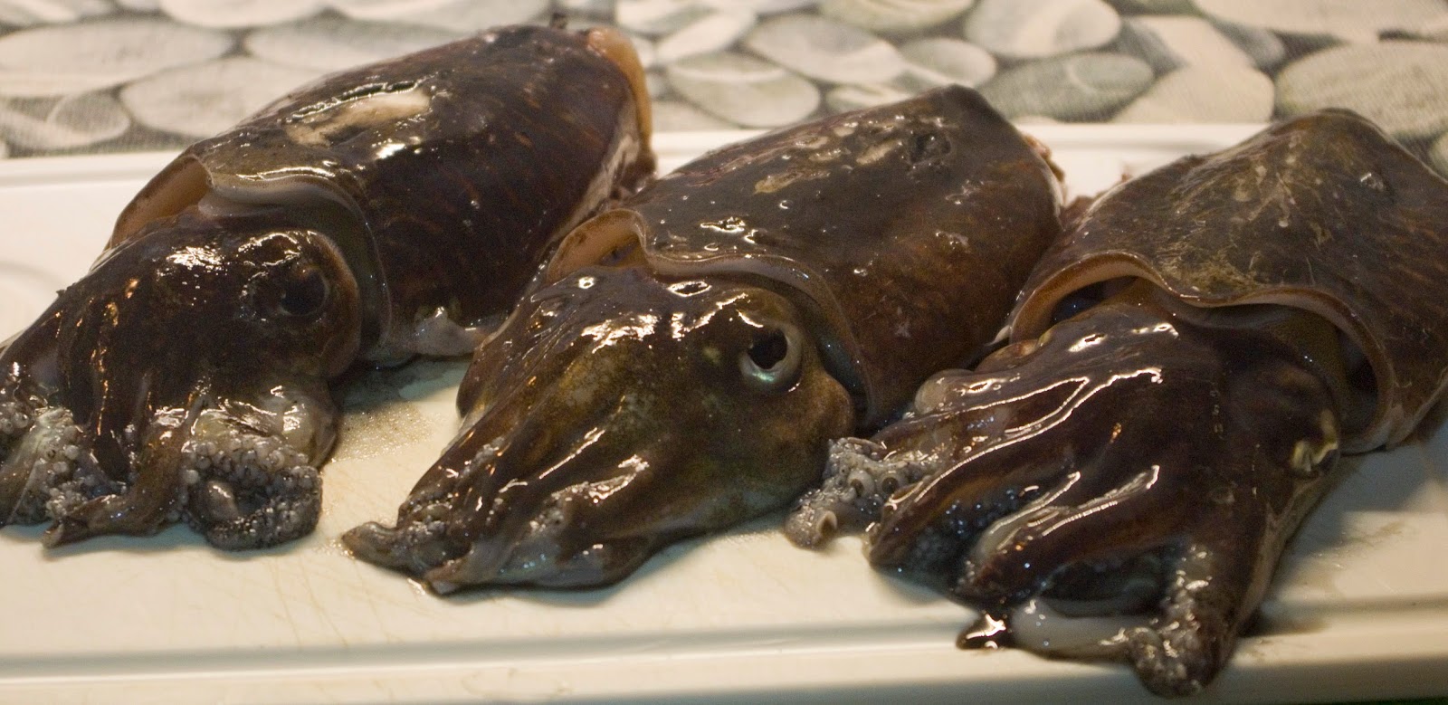 Cucina creativa di Peppino Occhiuto.: Parliamo di Seppia con lo Chef ...