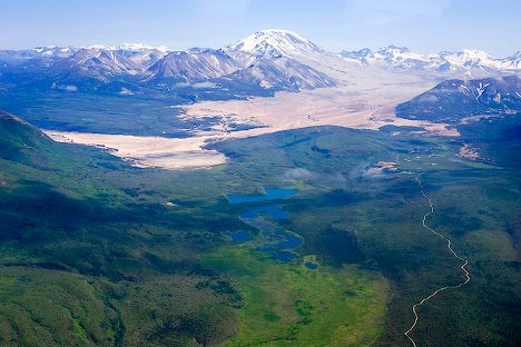 The Alaska Peninsula Montane Taiga