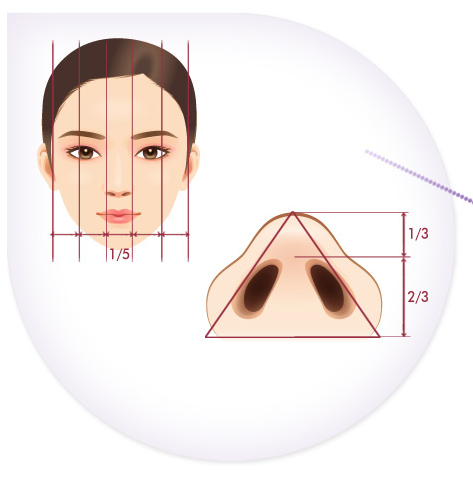 BK Plastic Surgery: [BK Plastic Surgery] Nosewing Reduction