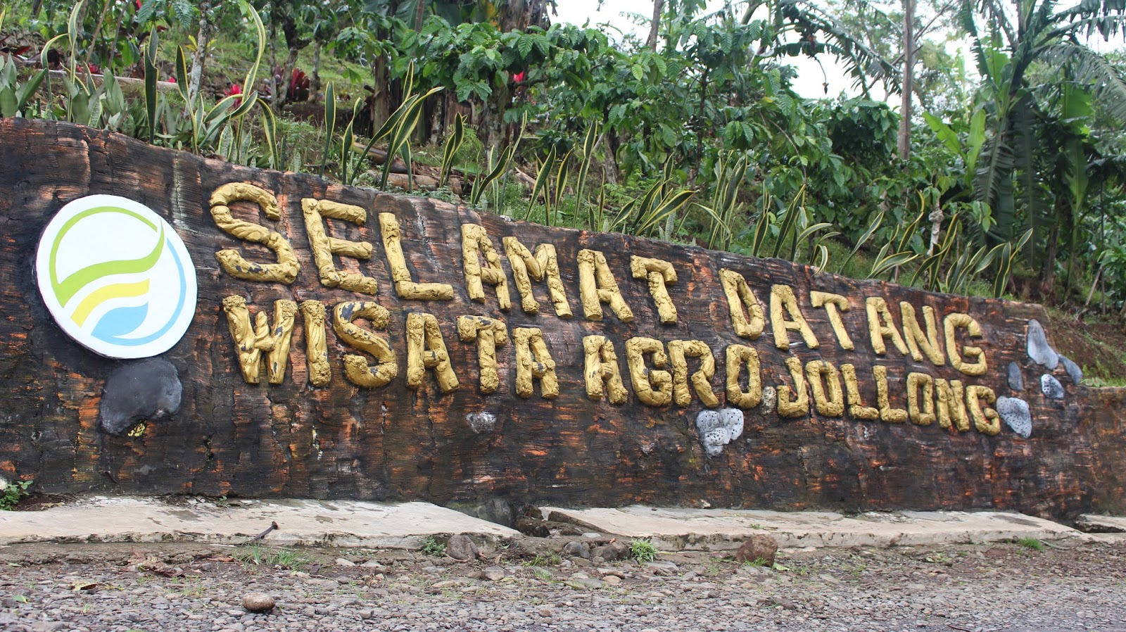 INFO PARIWISATA KAB. PATI: AGROWISATA KEBUN JOLLONG