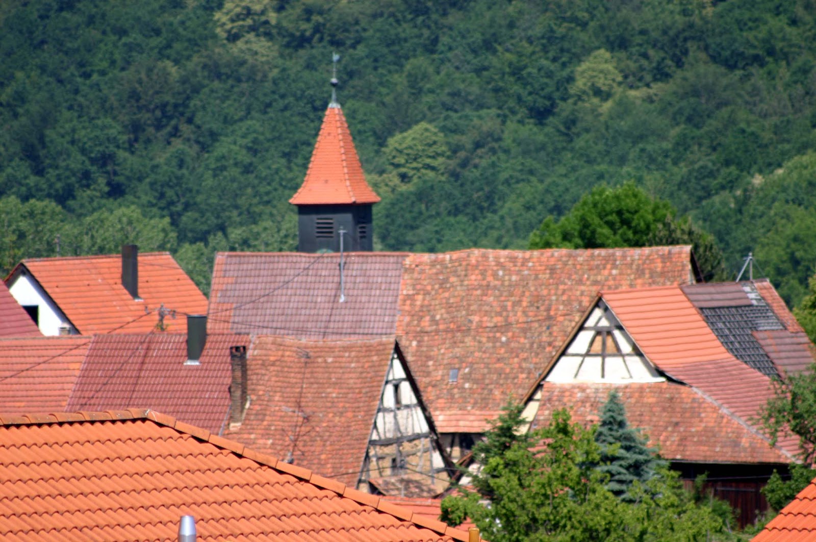 Altenburg am Neckar: Altenburg 2004