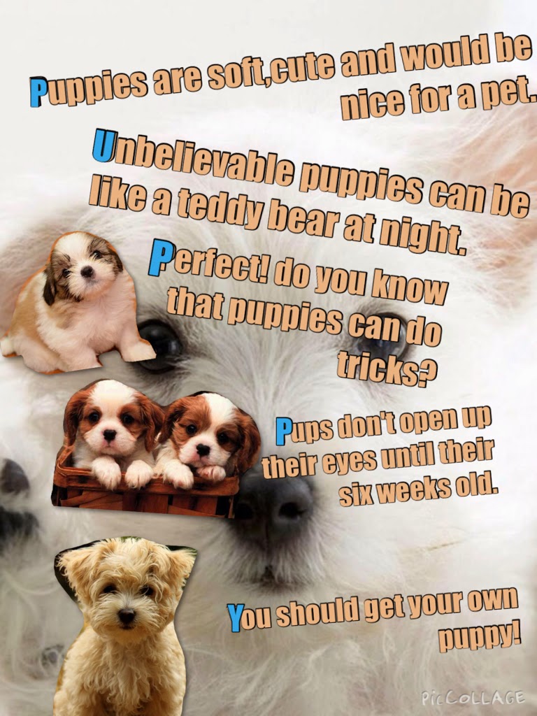 Room 8 Kidd-li-winks: Acrostic Poems